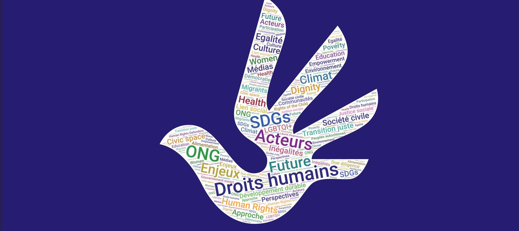 Droits humains et développement - Profil Public